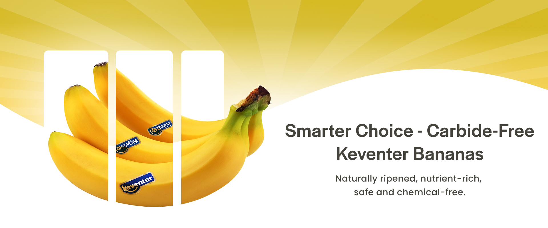 Keventer Banana - Fresh & Healthy Bananas from Keventer Agro